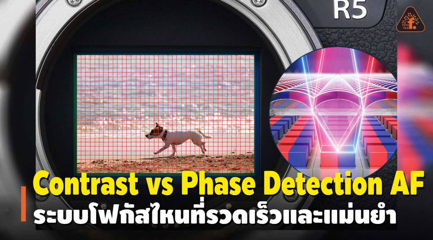 Contrast vs Phase Detection AF ระบบโฟกัสไหนที่รวดเร็วและแม่นยำ - FOTOFILE